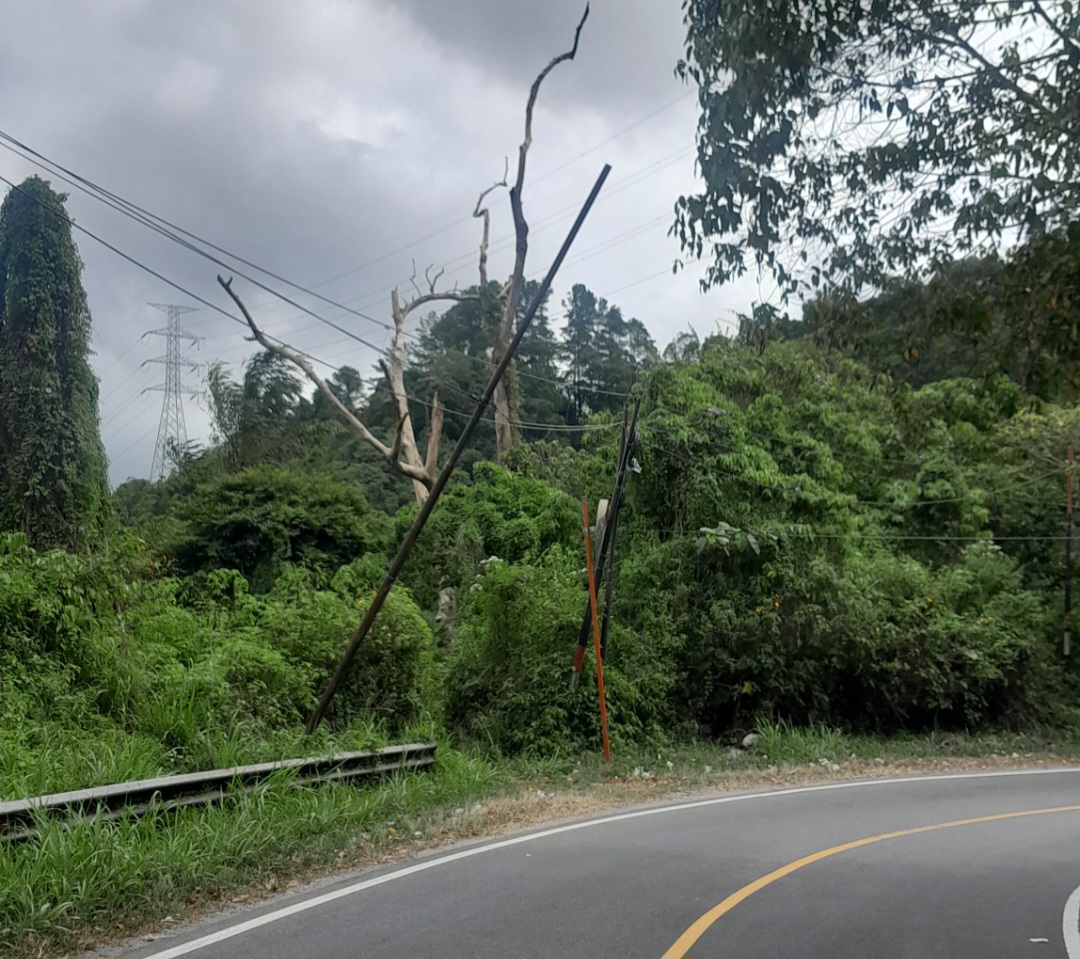 Diduga PT Telkom Hanya Fokus Keuntungan, Tiang dan Kabel Semrawut di ...